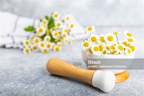 배경에 카모마일 꽃 꽃다발이 있는 박격포 천연 허브 유기농 화장품 동종 요법 화장품의 개념 약초 텍스트를 위한 위치입니다 복사