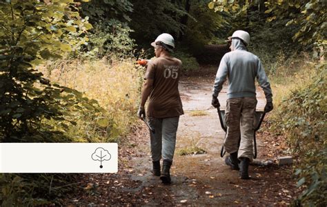 From Complexity To Clarity A Nonprofits Salesforce Transformation