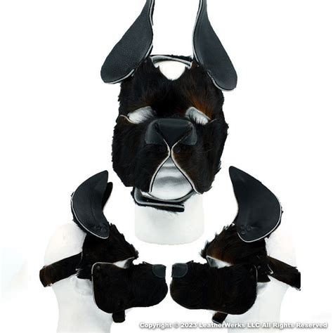 Hairy Puppy Mask 34 Fun And Eye Catching Puppy Accessory
