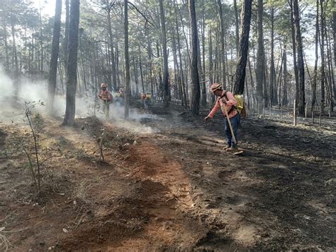 Guanajuato conserva y protege su biodiversidad a través de la