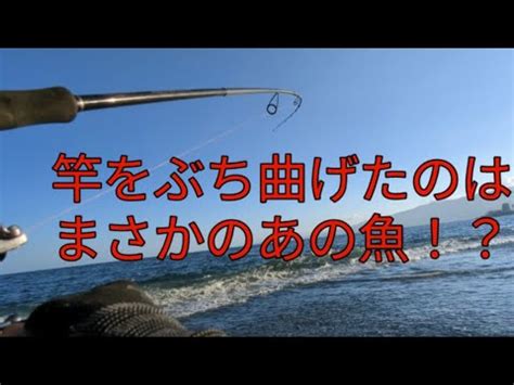 9月上旬の西湘サーフLSJで竿がぶち曲がる YouTube