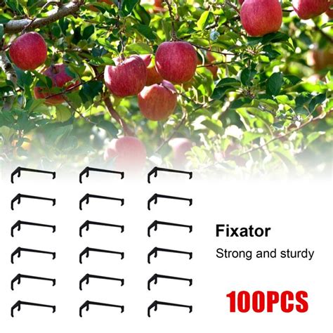 100pcs Fruit Tree Branches Holder Plant Support Fr Vicedeal