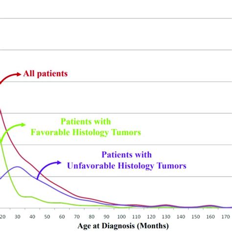 International Neuroblastoma Pathology Classification Patient