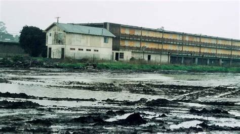 What Can The Bay Area Do About Rising Seas East Palo Alto Has A Few