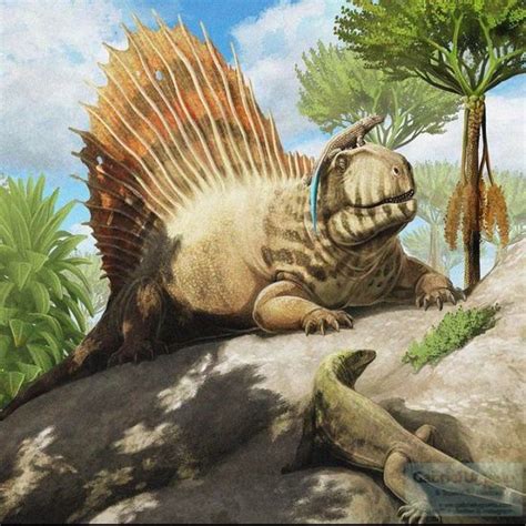 Pin De Carlos Nt Em Dinosaurs Dinossauros Dinosaurios恐竜 Arte Com