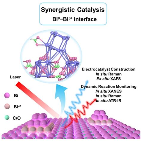 卫敏课题组chem Catal ：高效还原co2的铋基电催化剂结构演变及反应过程原位动态监测 X Mol资讯