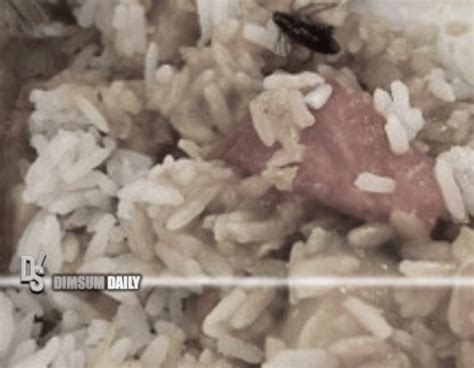 Cockroach Found Hiding In Takeaway Seafood Fried Rice In Tseung Kwan O
