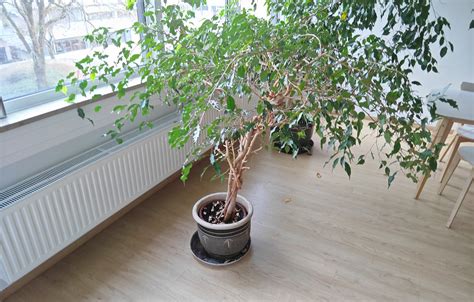 Lenovo Idea Tab Pro Im Test Richtig Gutes Und Flottes Zoll Tablet Heise Online Bestenlisten