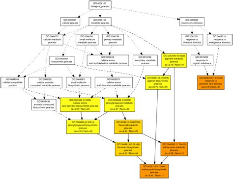 07 Functional Enrichment Analysis Introduction To Rna Seq