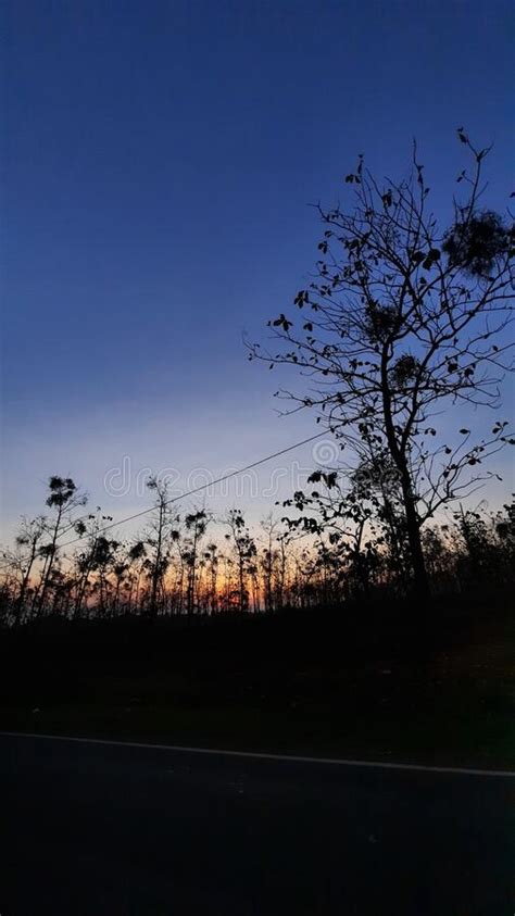 Gambar Senja Aesthetic 58 Koleksi Gambar