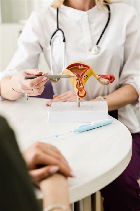 Gynecologist Explains Uterus Structure On The Example Of Model