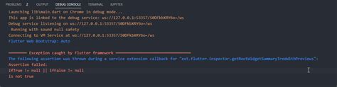🐛 Exception Caught By Flutter Framework When Run Example On Web · Issue 614 · Bdlukaa