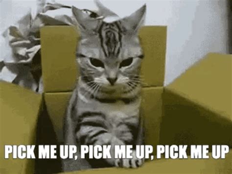 Pick Me S