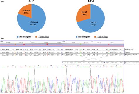 Figure 1 From A High‐throughput Bac End Analysis Protocol Bac‐anchor For Profiling Genome