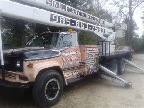 Tree Removal By Singletary S Tree Service