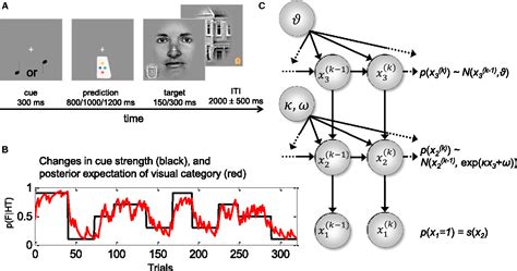 Figure 1 From Hierarchical Prediction Errors In Midbrain And Basal Forebrain During Sensory