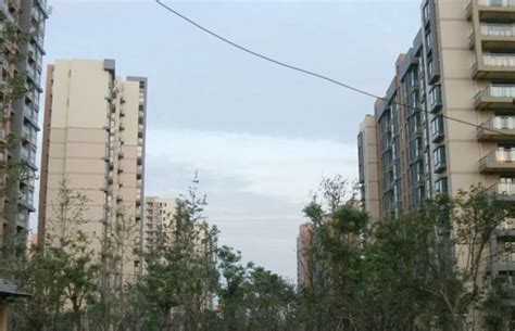 看房选房 需要掌握哪些必备技能？ 万事开头难，买房是个特例，因为每步都不简单。