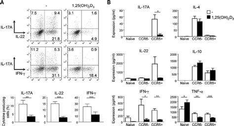 Effects Of 125 Dihydroxyvitamin D 3 125oh 2 D 3 On T Helper 17
