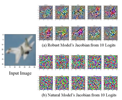 comparison of robust model s and natural model s jacobian download