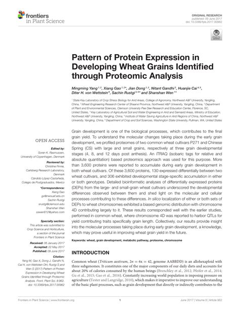 Pdf Pattern Of Protein Expression In Developing Wheat Grains