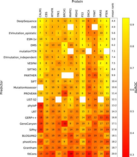 updated benchmarking of variant effect predictors using deep mutational