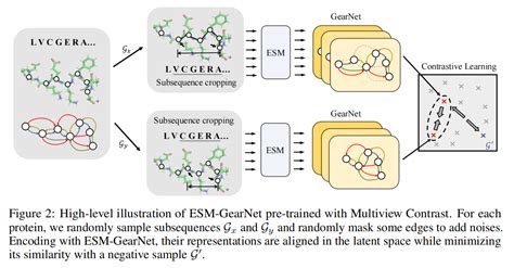 ICLRw 2023 Enhancing Protein Language Models With Structure Based