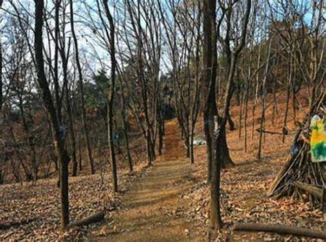 서대문구 ‘반려견과 함께 걷는 산책로 2㎞ 추가 조성 서대문구 ‘반려견과 함께 걷는 산책로 2㎞ 추가 조성