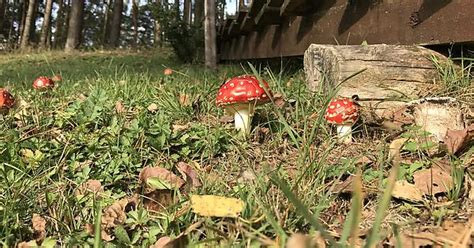 Spacer Album On Imgur