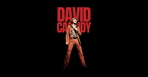 David Cassidy Retro 1970s Aesthetic David Cassidy Sticker Teepublic