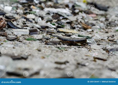 Random Pieces Of Broken Glass On The Ground Stock Image Image Of