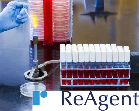 A Level Chemistry Identifying Cations And Anions