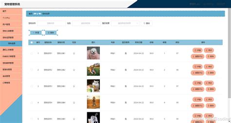 【毕设作品】springboot宠物商店系统 腾讯云开发者社区 腾讯云