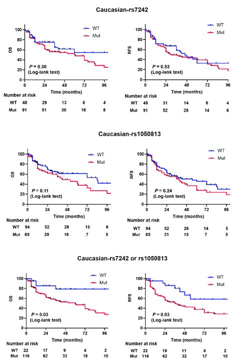 Kaplan Meier Survival Curves For Pai1 Wt Vs Mutation Rs7242 Alone