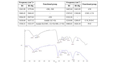 Atr Ftir Spectra Of Biosorbent Before And After The Biosorption Of Hg Download Scientific Diagram