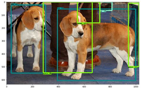 Object Detection Api Voc