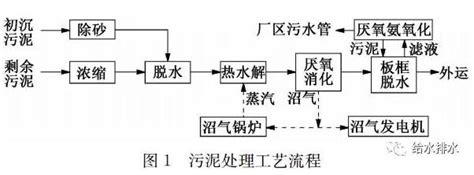 北京清河第二再生水厂污泥厌氧消化设计探讨 全球新能源网
