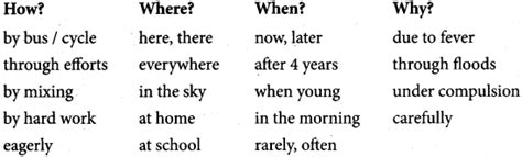 Tamilnadu Board Class 10 English Grammar Sentence Pattern Learn Cram