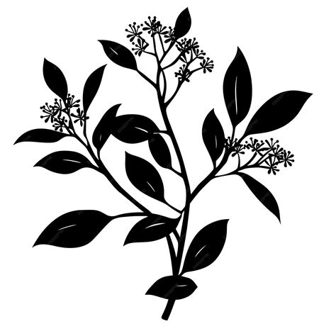 Vector Silhouette Of A Lemon Myrtle Premium Ai Generated Vector