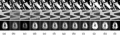 Segmentation Results Of Different Algorithms In Images With Gaussian Download Scientific