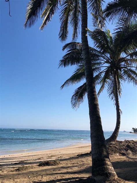 Le Club Castillos 普拉塔港 0則旅客評論