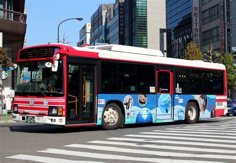 京阪京都交通 N583 バス三昧