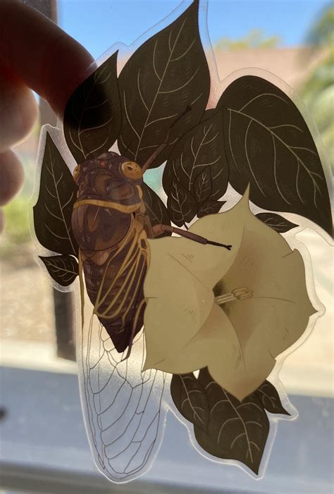 Spiceroll Art On Tumblr