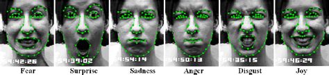 Figure 1 From Temporal Exemplar Based Bayesian Networks For Facial Expression Recognition