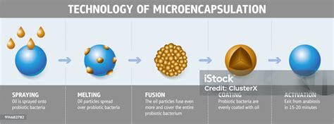 Technology Of Microencapsulation Stock Illustration Download Image Now Bacterium