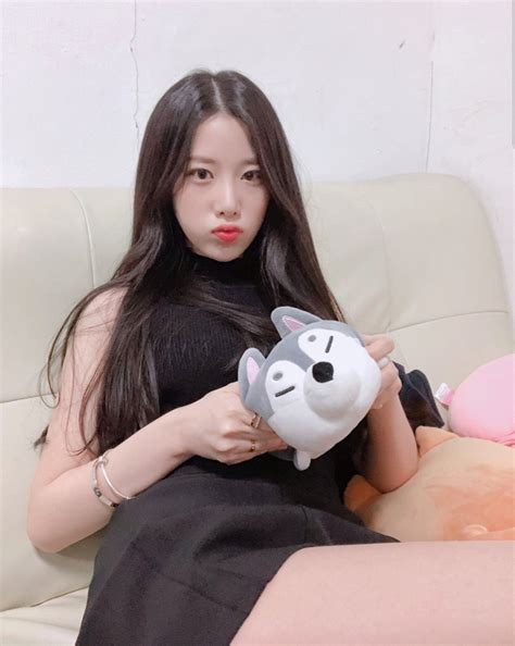 도발이 뭔지 정말 잘 아는 오늘자 베리굿 조현 인스타 ㄷㄷ 유머 움짤 이슈 에펨코리아