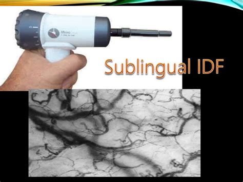 Microcirculation Vs Macrocirculation