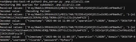 Playing With Malicious Network Provider DLLs Ricardo J Ruiz