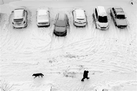 احمدرضا مختاری فر هشتمین جشنواره تلویزیونی مستند