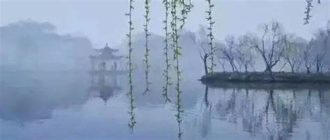 折柳，寄情杨柳柳枝柳树
