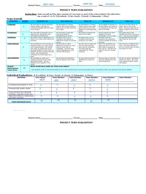 Team Evaluation Download Free Pdf Human Communication Cognition